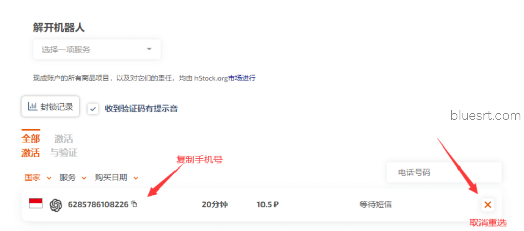 SMS-Activate 国外接码平台 使用教程（包含各国免费接码平台介绍） 蓝频道分享 bluesrt蓝频道分享