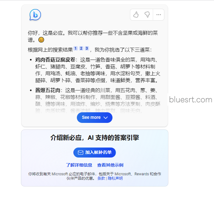 新bing要怎么才能用【新的Bing搜索引擎要怎么使用】 蓝频道分享 bluesrt蓝频道分享