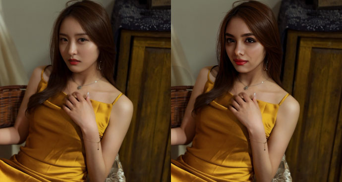 免费AI变脸工具 faceswapperAI换脸 可下载 蓝频道分享 bluesrt蓝频道分享